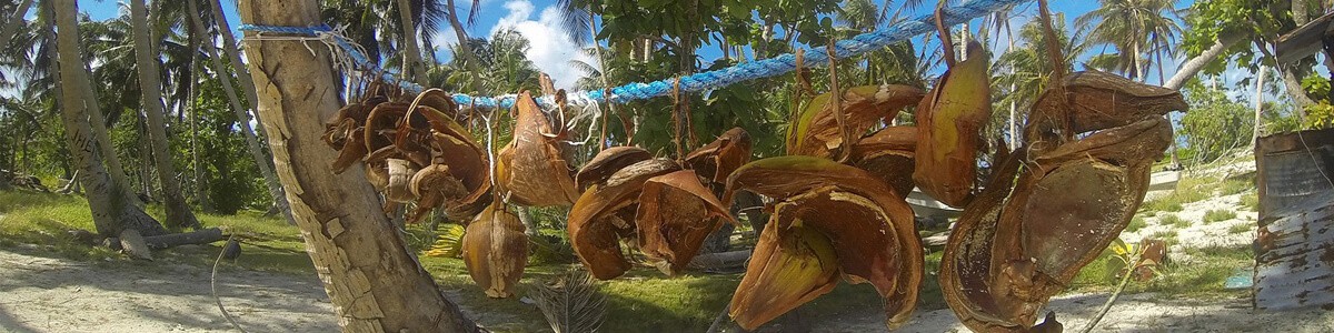 Chuukese translation services, Chuukese translator | PoliLingua.com